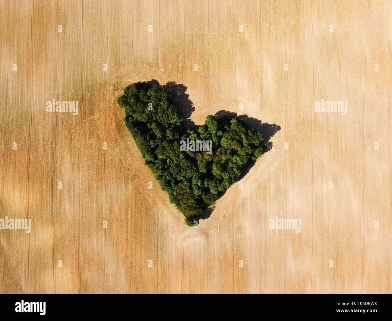 An aerial top view of a field with trees looking like a heart Stock ...