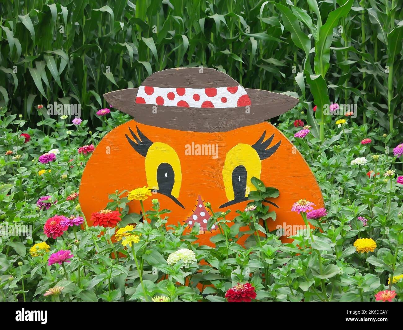 Halloween Decoration at Entrance to Pumpkin Patch Stock Photo - Alamy