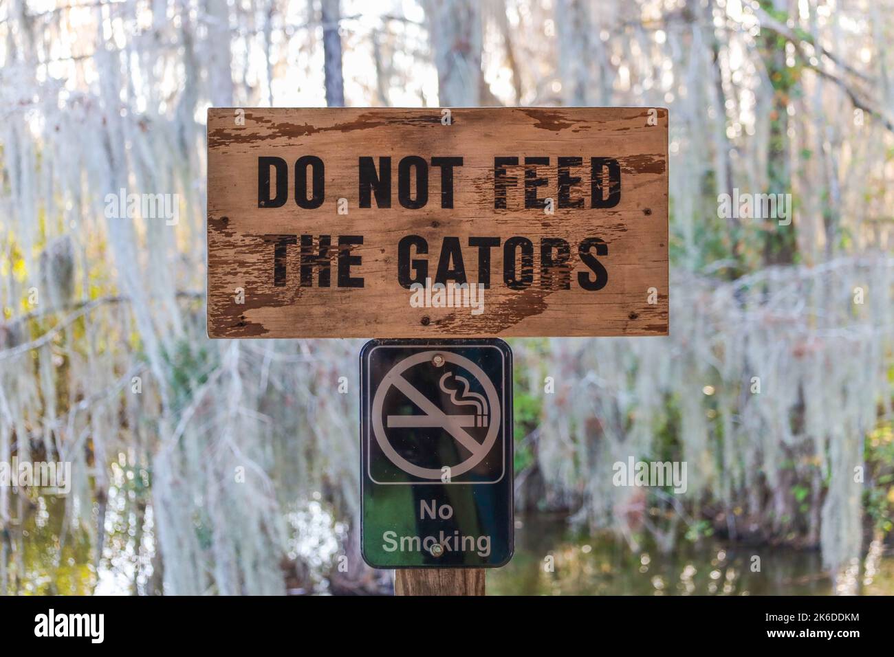 A closeup of a 'Do not feed the gators' and 'No Smoking' signs by the ...