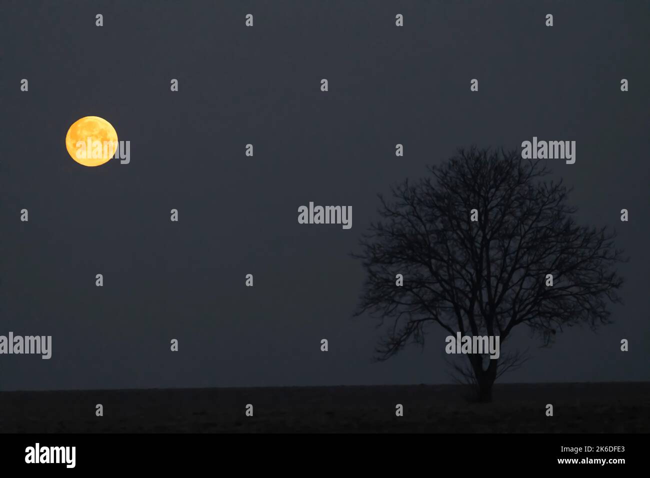 landscape with full moon and lonely tree Stock Photo - Alamy