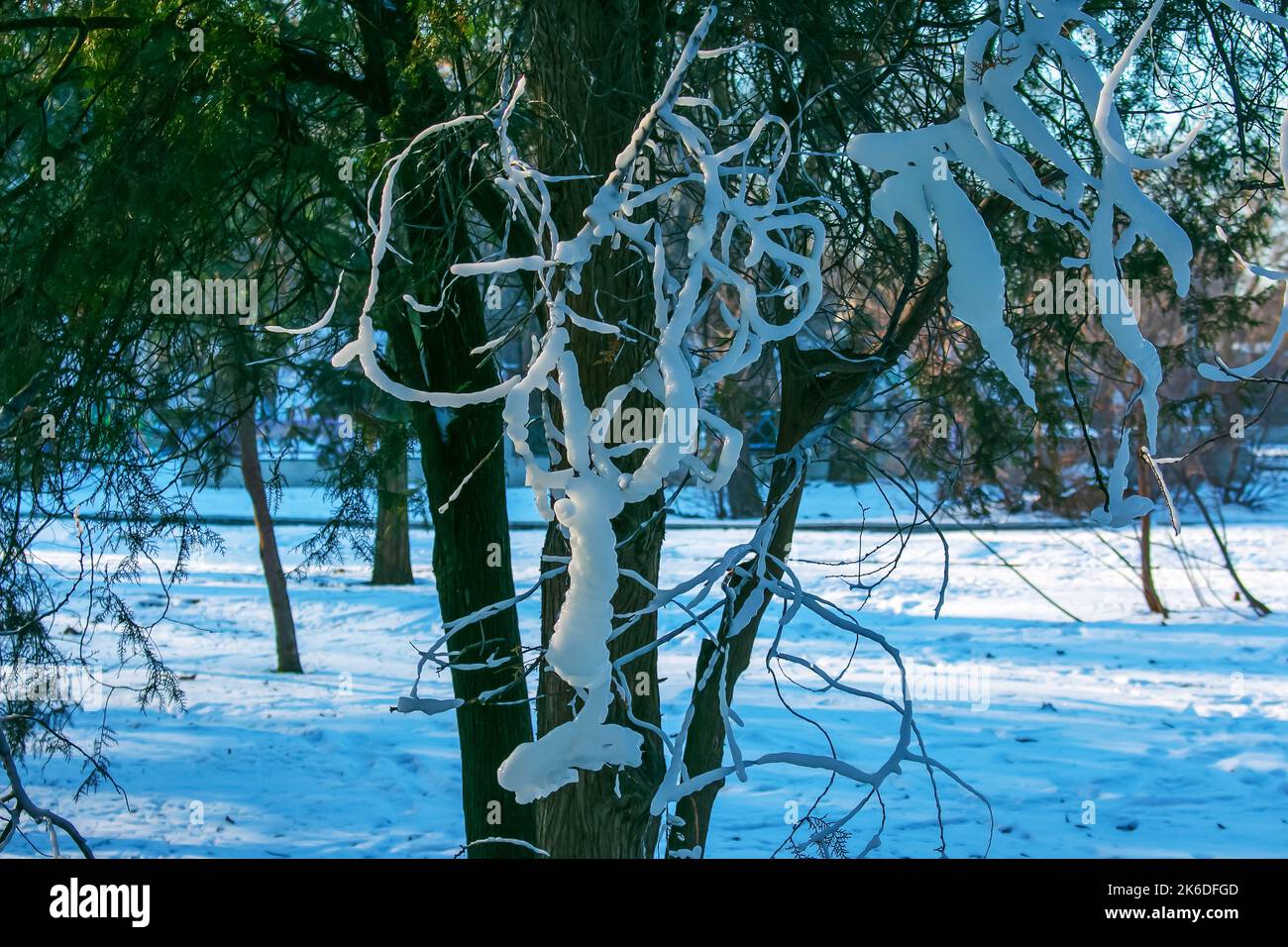Beautiful crystal ice trees hi-res stock photography and images - Alamy