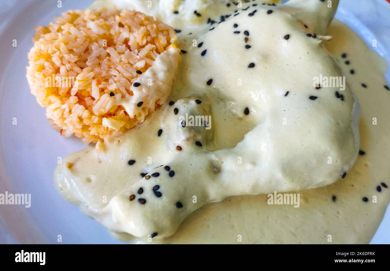 Typical Mexican dish with rice meat chicken leg nachos tacos in Playa ...