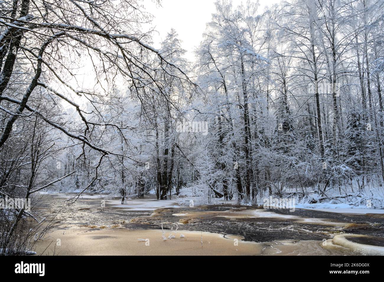 winter river in snowfall. beautiful snowy tree branches Stock Photo - Alamy