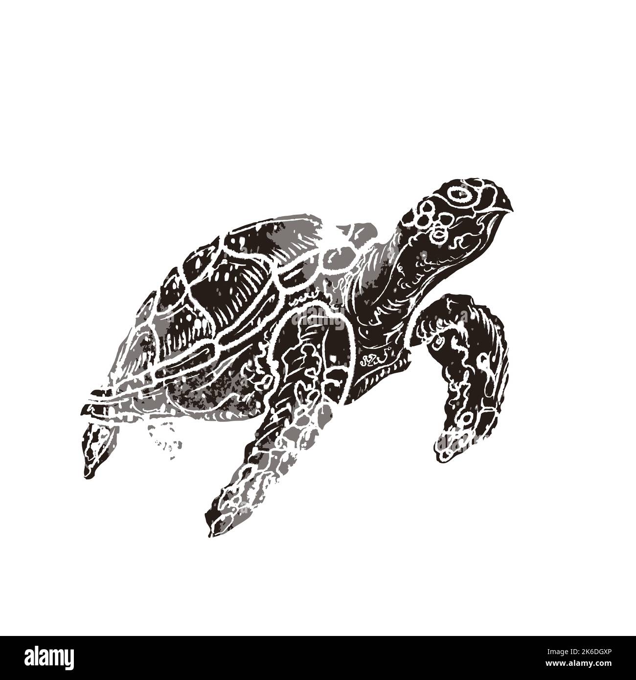 Ocean turtle in linocut retro style isolated on white Stock Vector ...