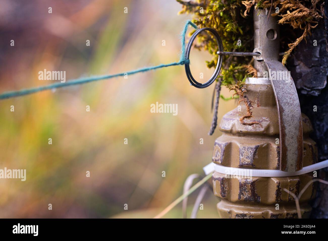 Close-up photo of a hand-held fragmentation grenade is mounted on a ...