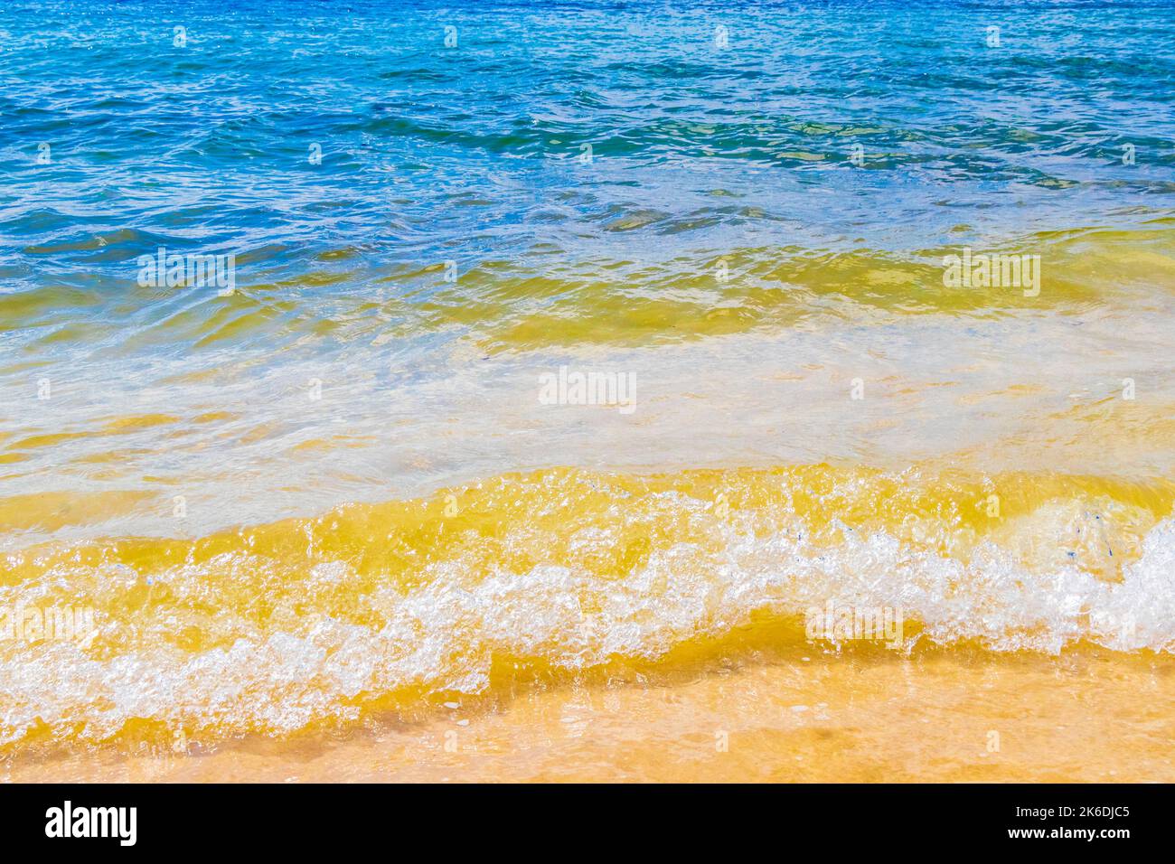 Waves at tropical mexican beach landscape panorama and caribbean sea ...