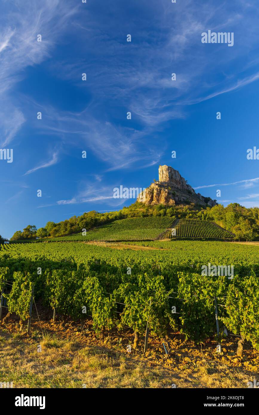 Rock of Solutre with vineyards, Burgundy, Solutre-Pouilly, France Stock ...