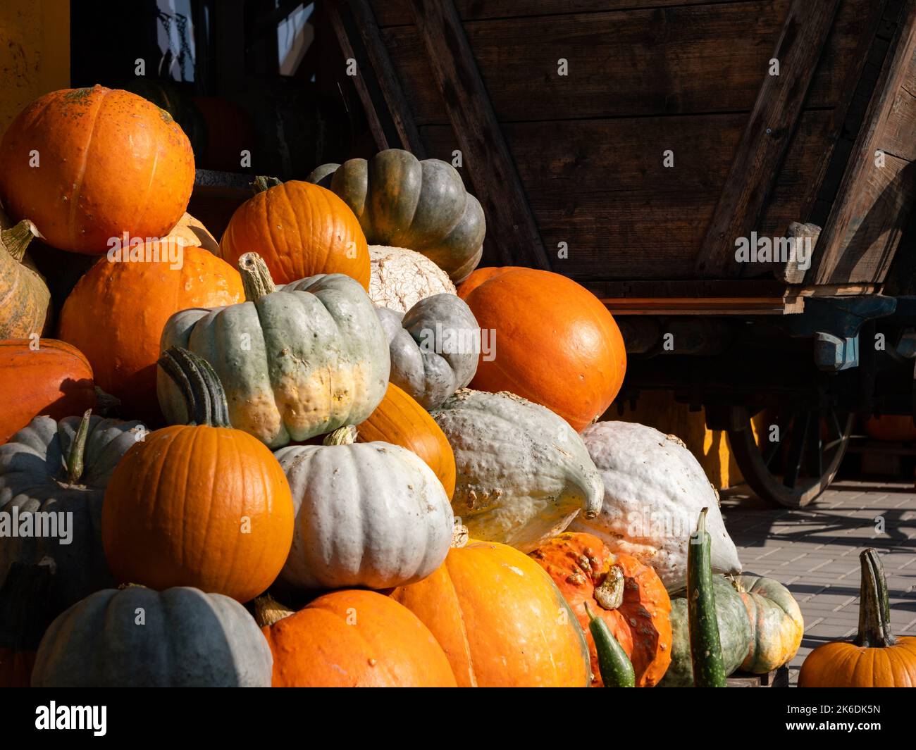 Pile of pumpkins lying on each other as decoration. A heap of different ...