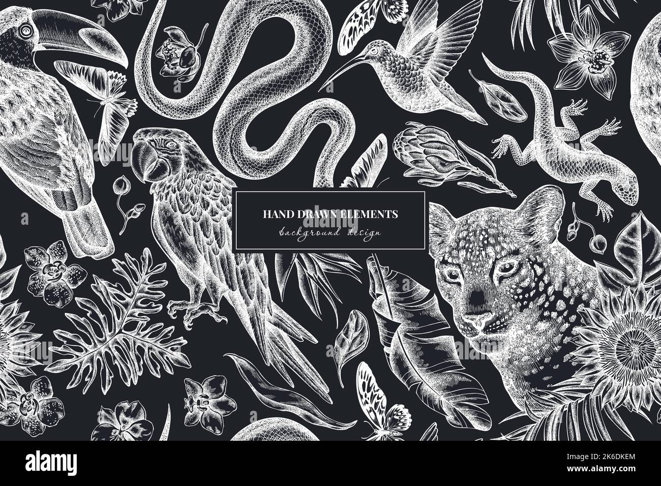 Tropical animals seamless pattern background design. Engraved style ...