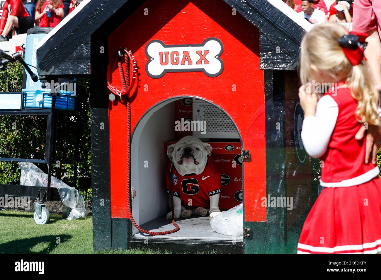 Georgia mascot UGA X chills out in his doghouse during a college ...