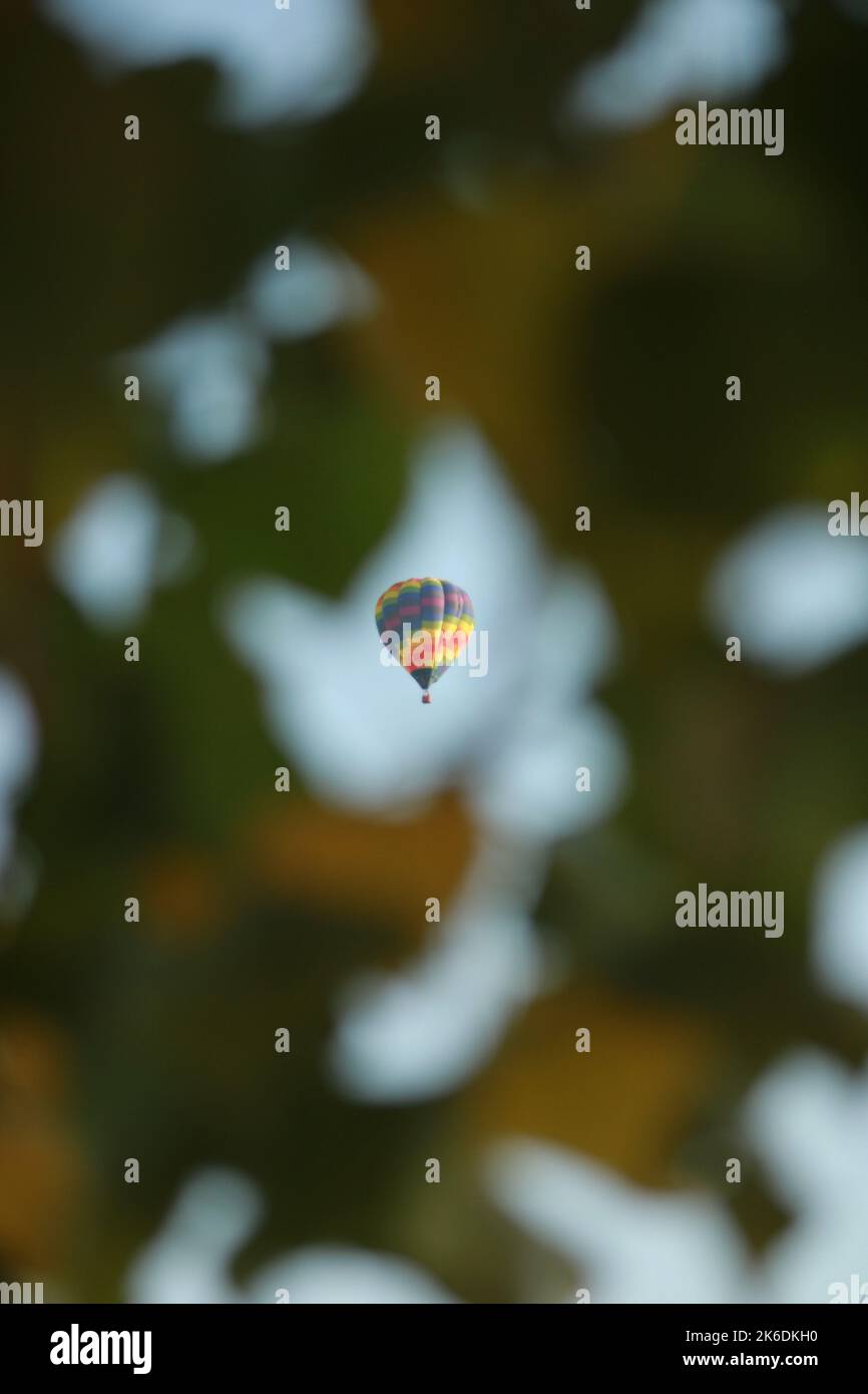 A vertical shot of a colorful hot air balloon visible through tree ...
