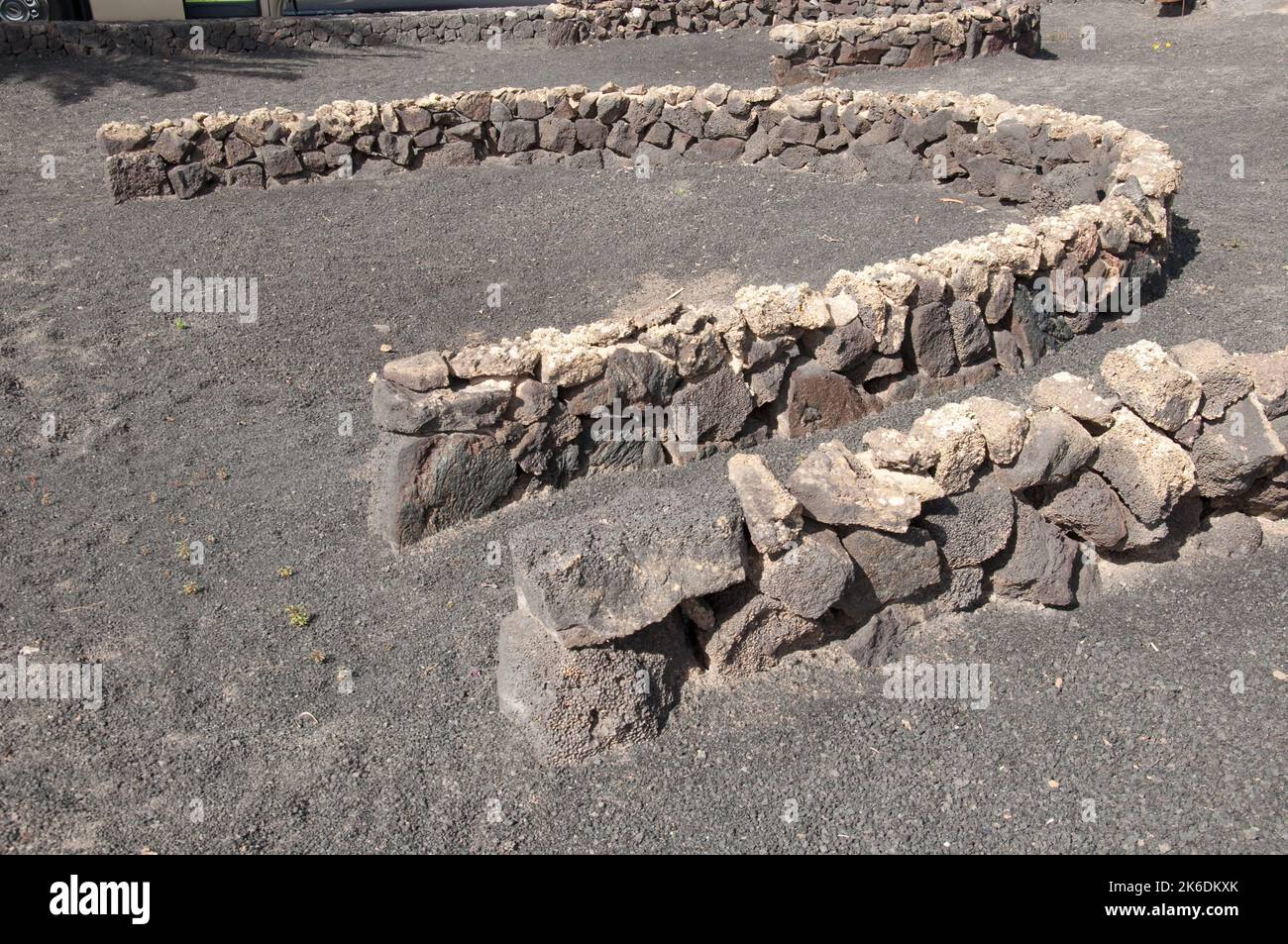 Lava walls for plant protection, San Bartolome, Lanzarote, Canary ...