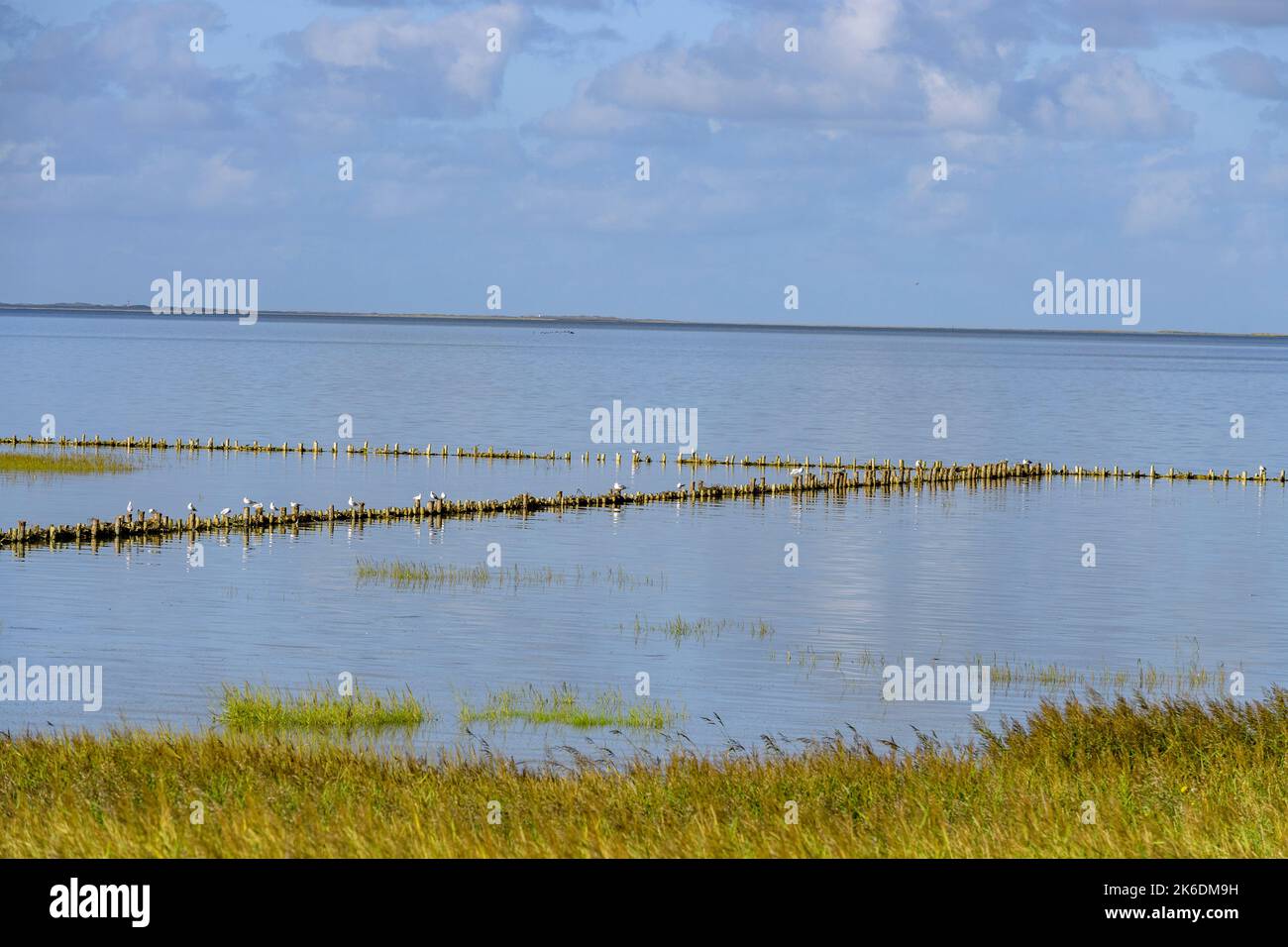 Vadehavet nasjonalpark hi-res stock photography and images - Alamy