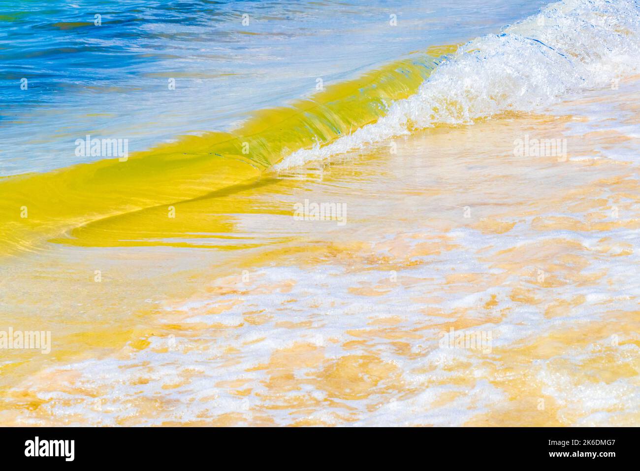 Waves at tropical mexican beach landscape panorama and caribbean sea ...