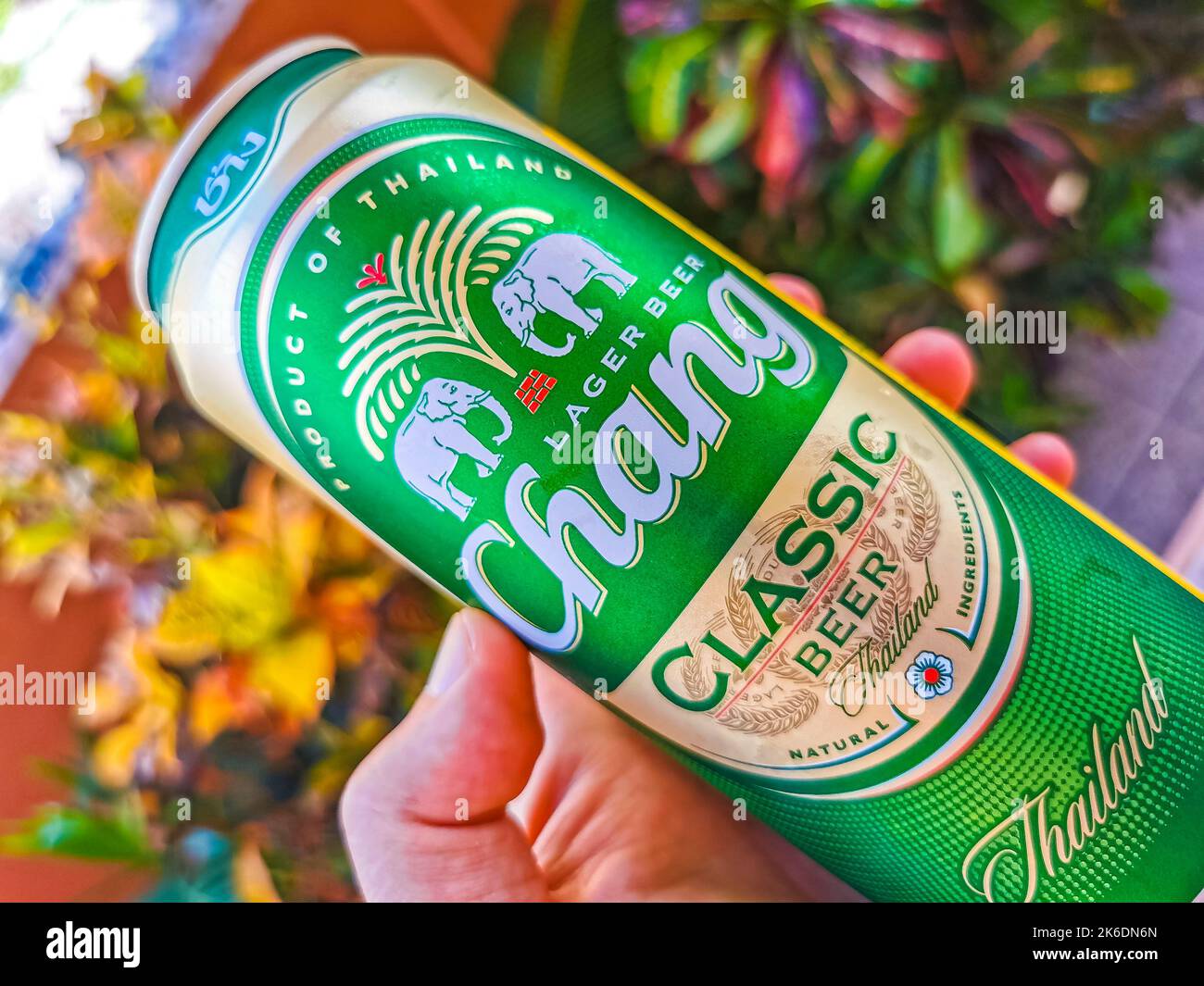 Thai Chang beer in hand in tropical paradise but in Playa del Carmen ...