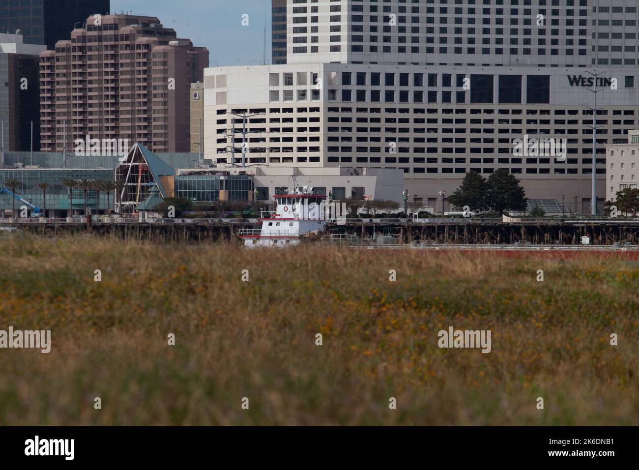 The mv. Mary Kay pushes a tow of barges downriver past New Orleans, La ...