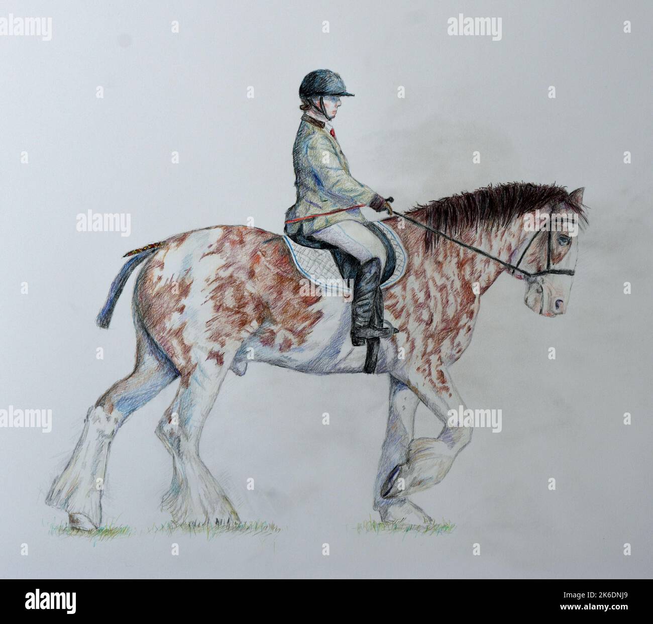 Rider horse drawing hi-res stock photography and images - Alamy