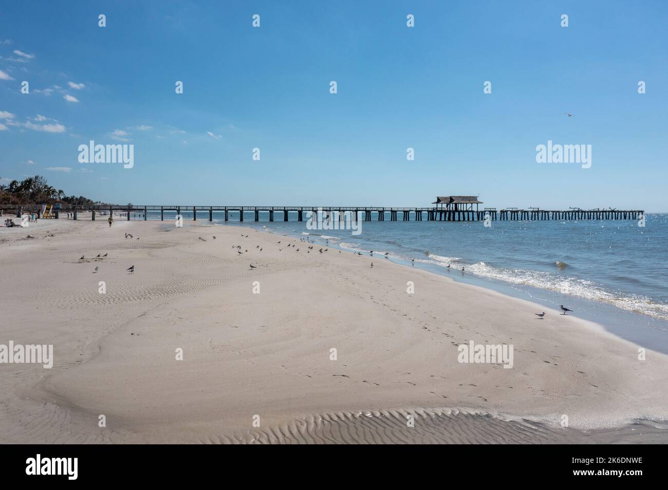 Naples Pier after Hurricane Ian 2022. Heavy damage and destruction ...