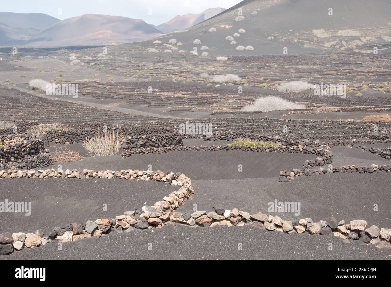 Lava walls to protect plants, Lanzarote, Canary Islands, terraces and ...