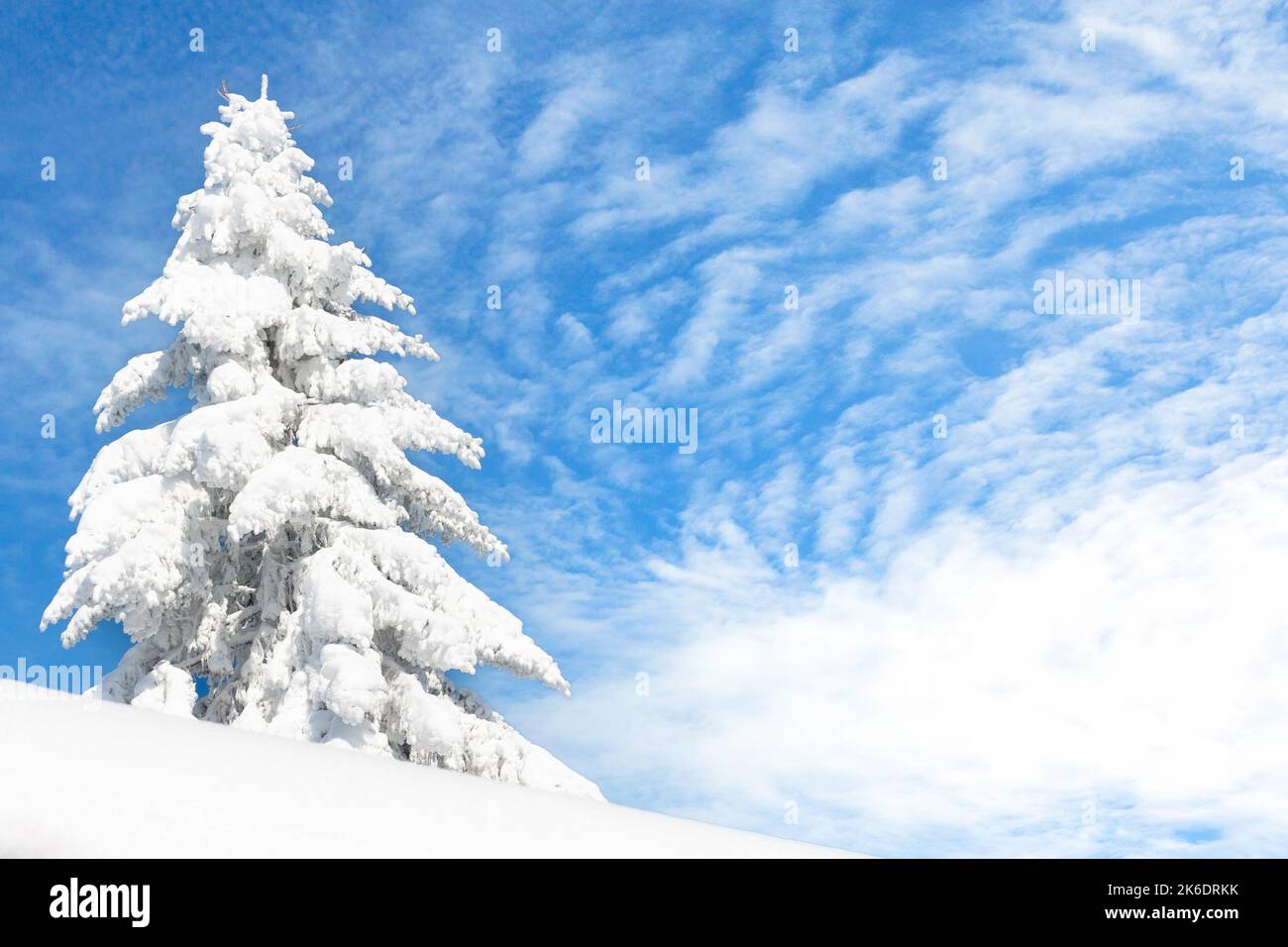 Christmas background with snowy fir tree and cloudy sky, copy space ...