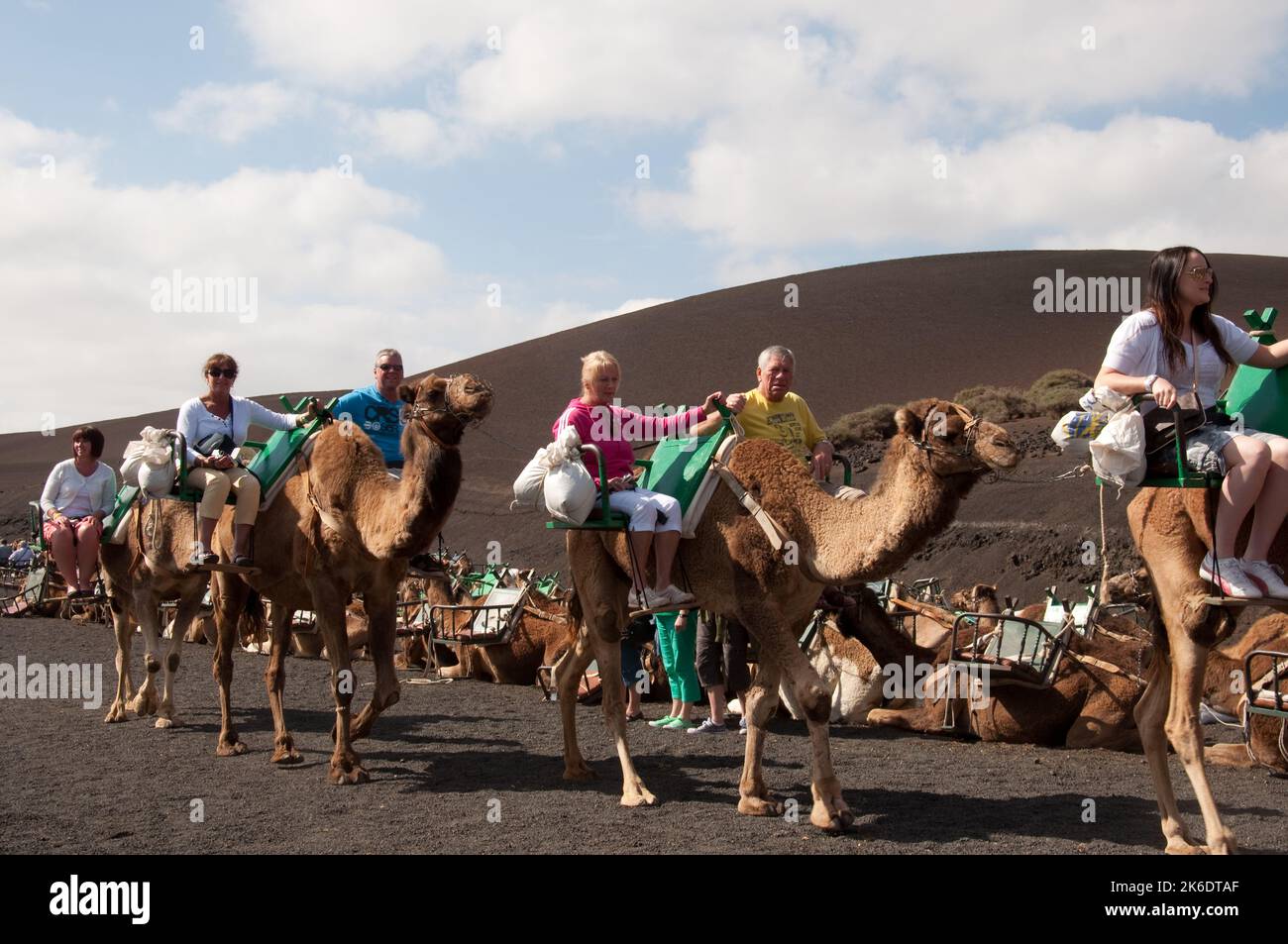 Camel rides among the volcanoes, Timanfaya National Park, Lanzarote ...