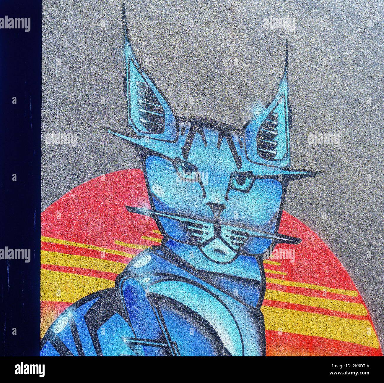 Graffiti cat hi-res stock photography and images - Alamy