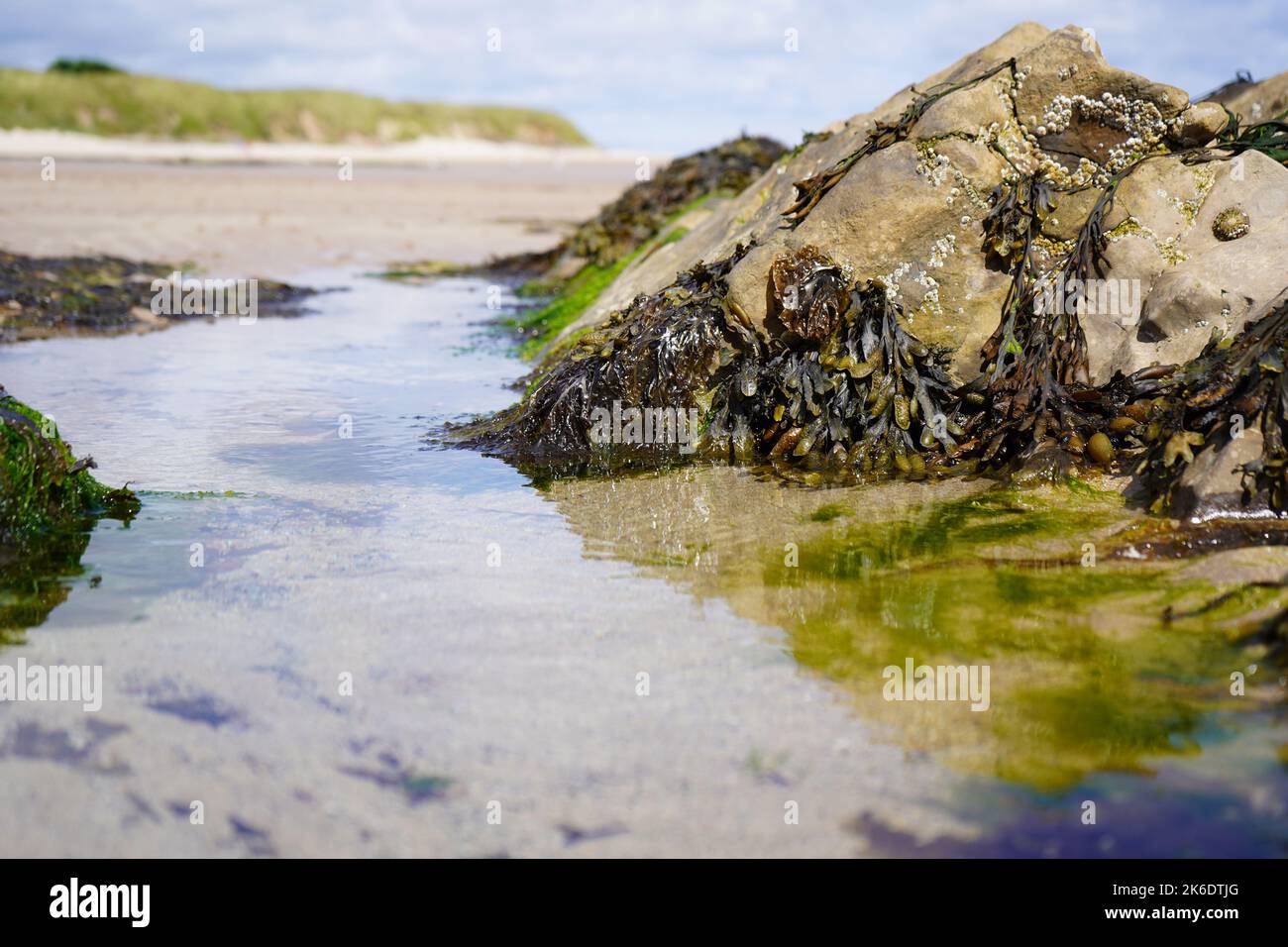 Rock pool on Bamburgh Beach Stock Photo - Alamy
