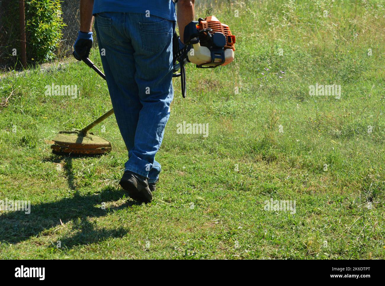 a gardener trimming a grass in yard Stock Photo - Alamy