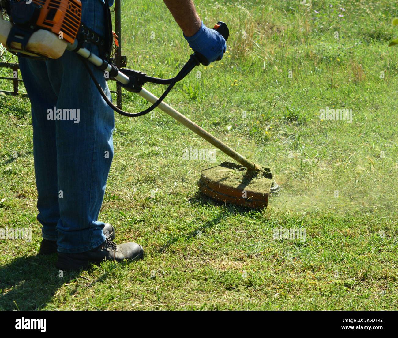 a gardener trimming a grass in yard Stock Photo - Alamy