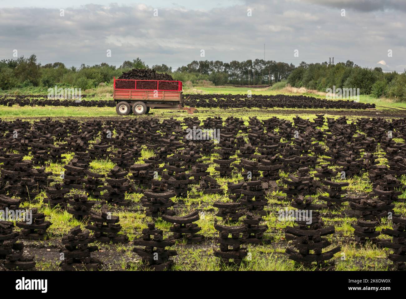 Footed turf on an Irish bog in the Midlands Stock Photo - Alamy