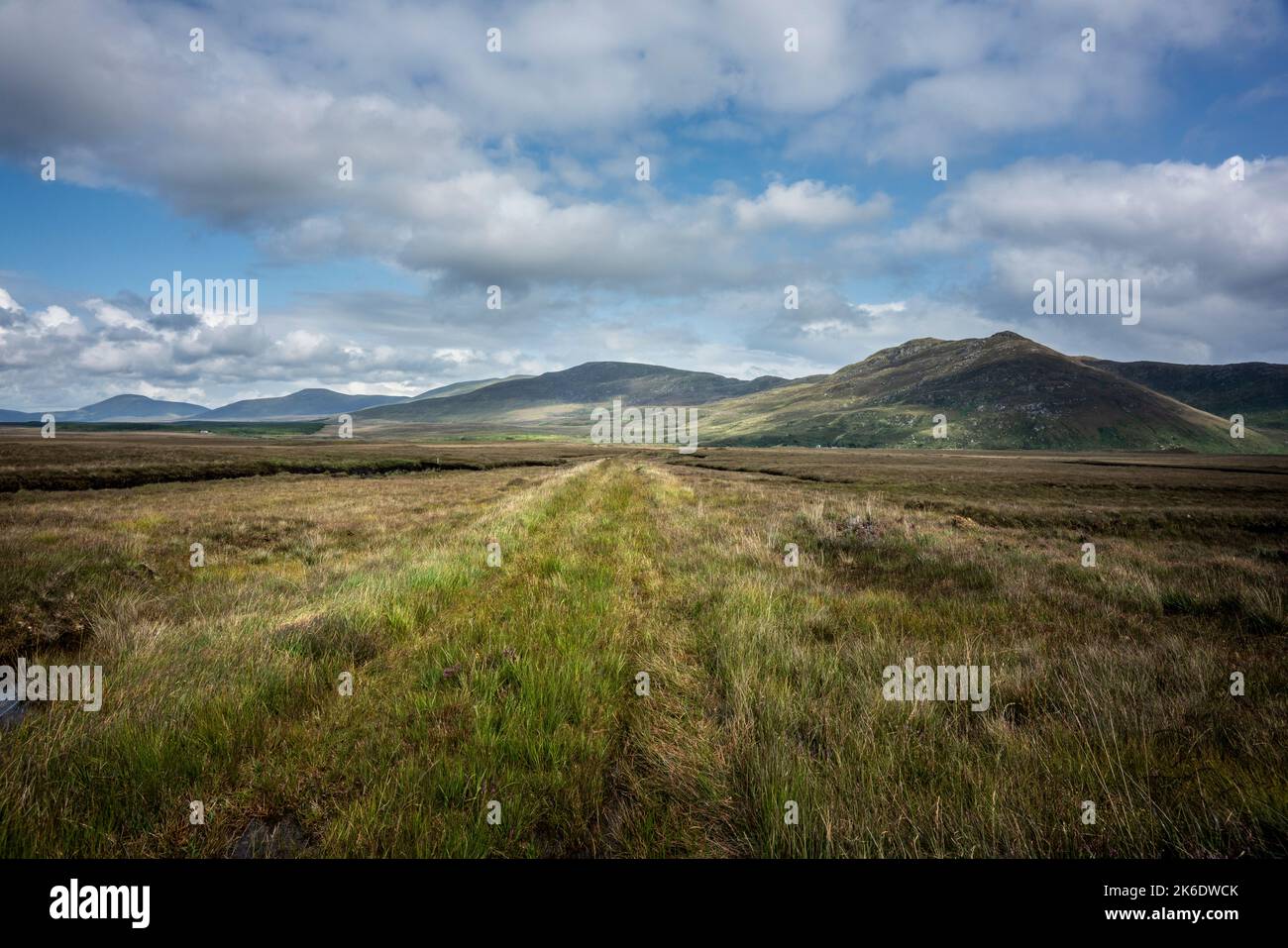 Peatlands near lough Gar in summer. Co. Mayo, Ireland. Wild Nephin ...