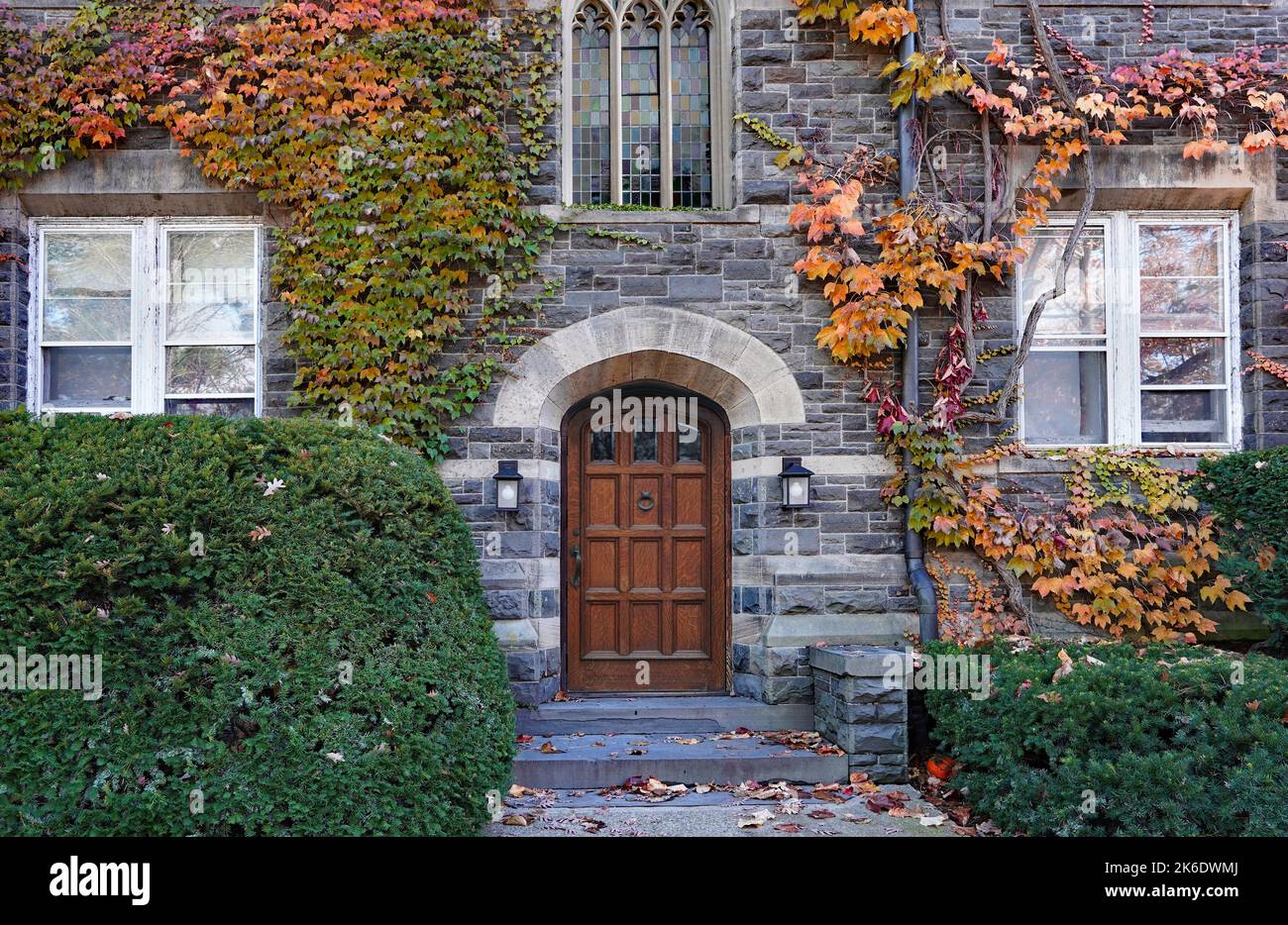 Entrance to old ivy covered gothic stone college building Stock Photo ...