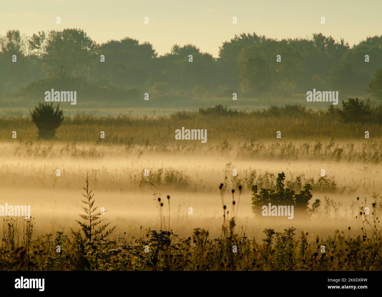 Early morning sunrise light highlights the mist hanging over the ...