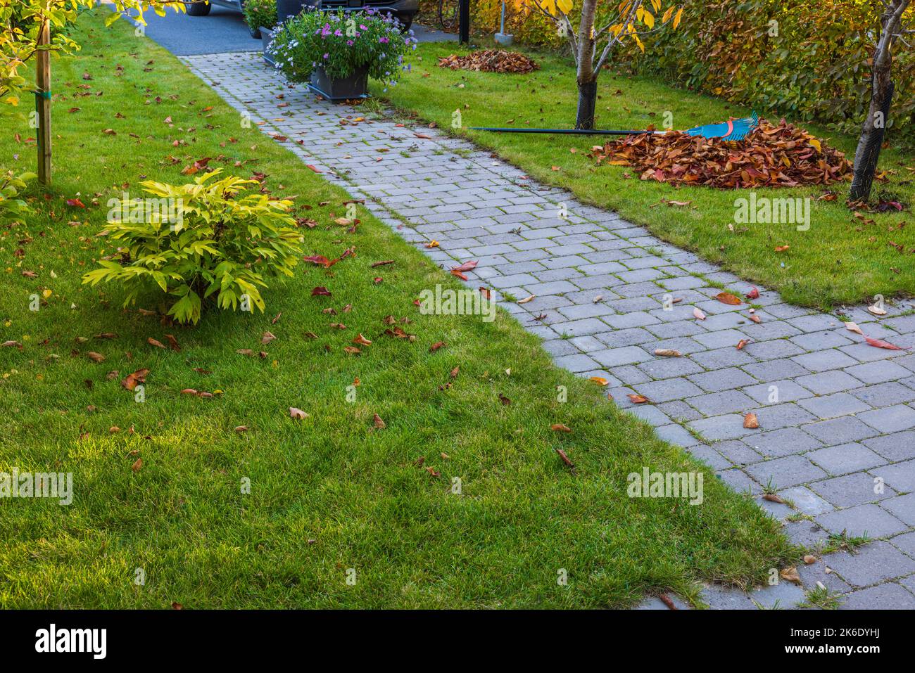 Beautiful view of front yard with path to house lined with paving slabs ...