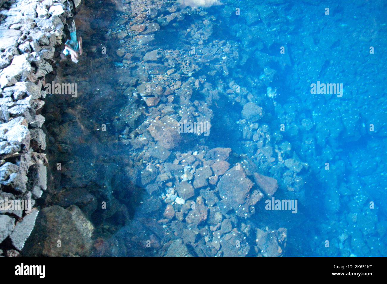 Blind, white crabs, Jameos del Agua, Lanzarote, Canary Islands. The ...