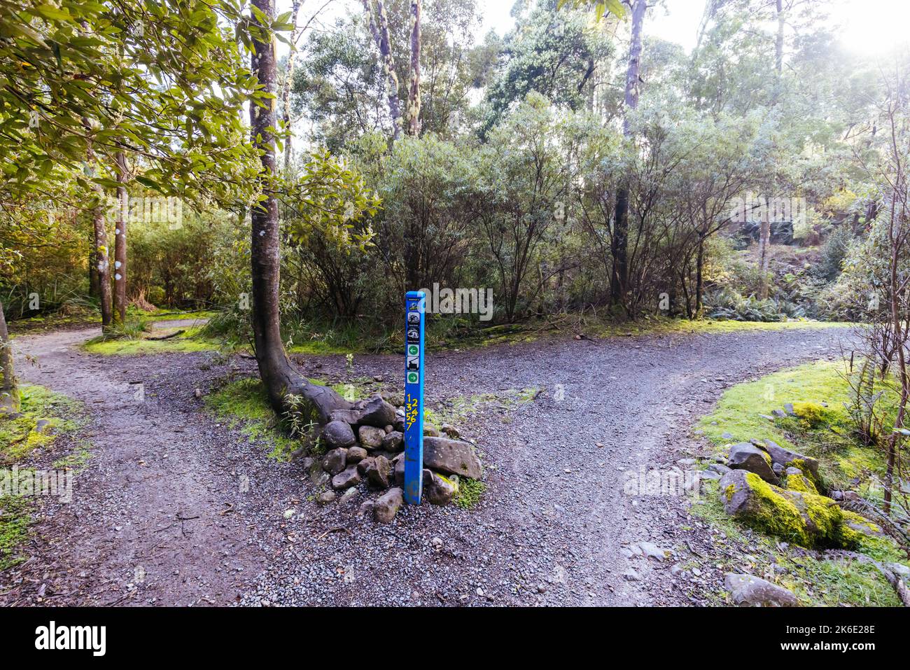 Blue Derby Bike Network Tasmania Australia Stock Photo - Alamy