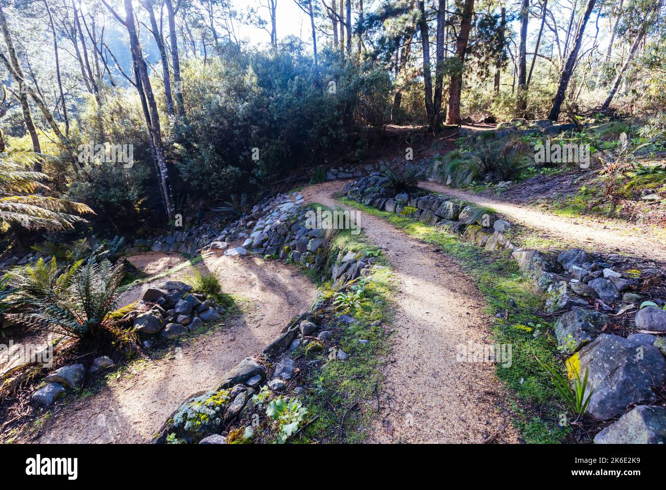 Blue Derby Bike Network Tasmania Australia Stock Photo - Alamy