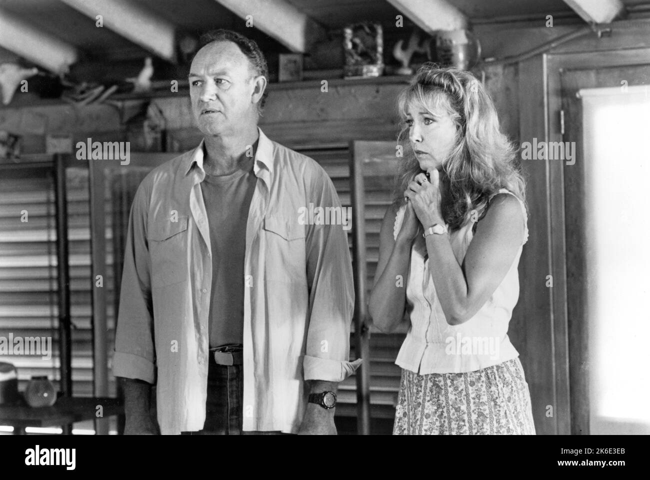 Teri garr hi-res stock photography and images - Alamy