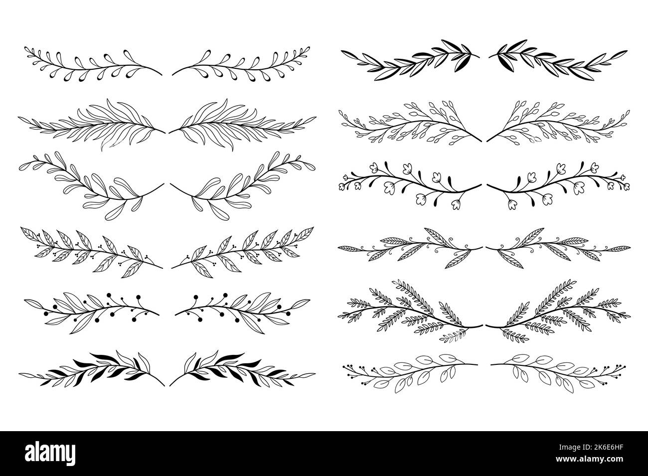 Floral ornament dividers set in hand drawn design. Herbs, twigs, flowers and plants. Bundle of ...