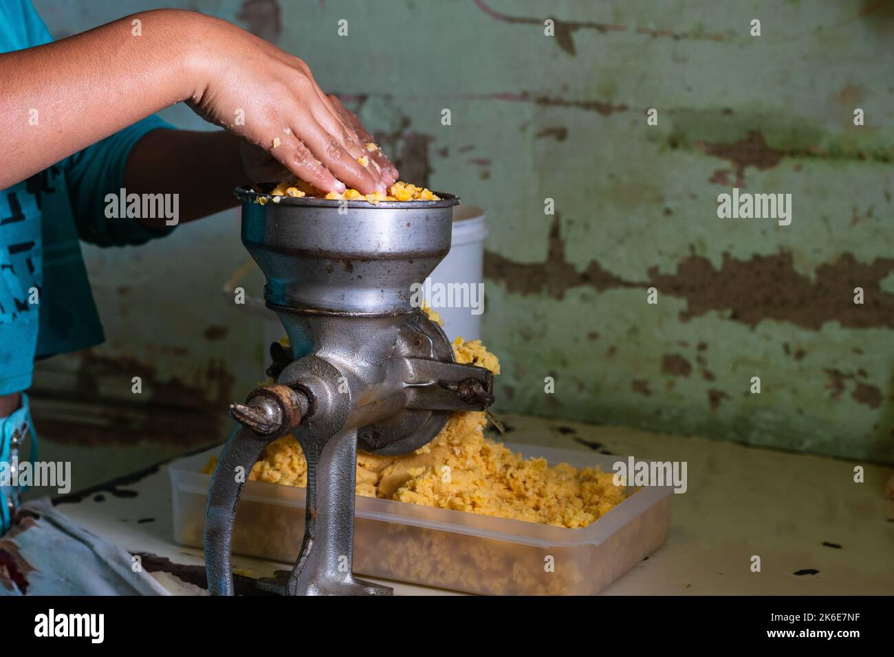 young latina woman, putting the cooked corn with her hands in the corn ...