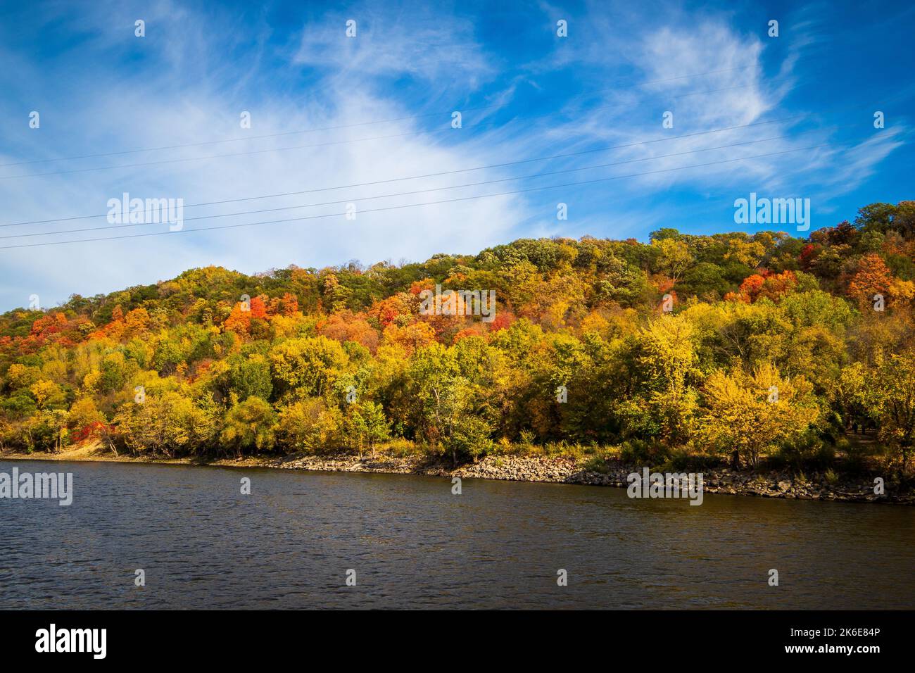 The colorful autumn trees along the shore of the river Mississippi in ...