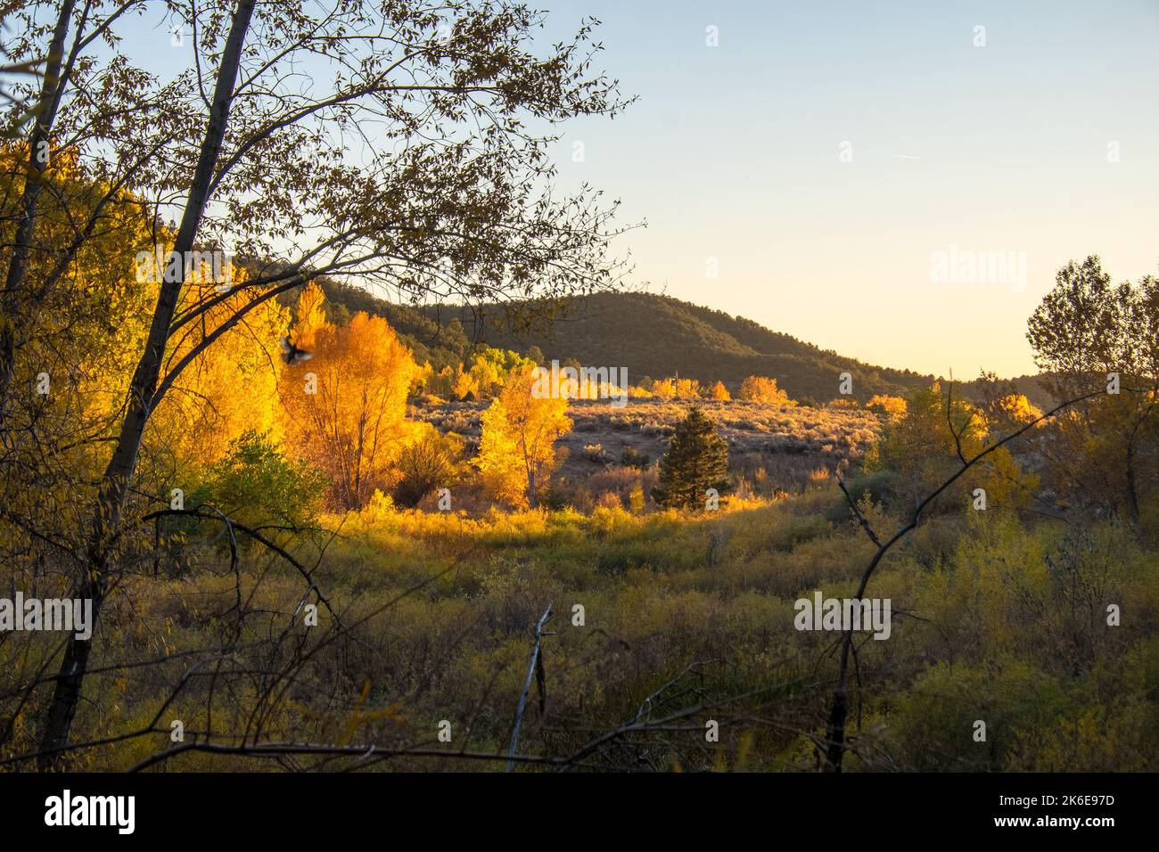 Santa Fe Canyon Preserve, New Mexico, USA, autumn colors, leaves ...