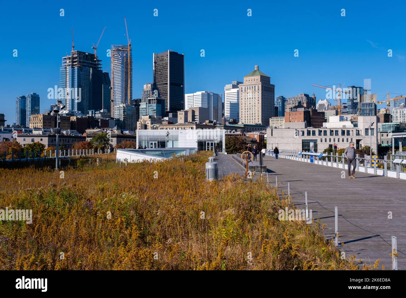 Montreal, CA - 11 October 2022: Montreal Skyline from The Grand Quay in ...