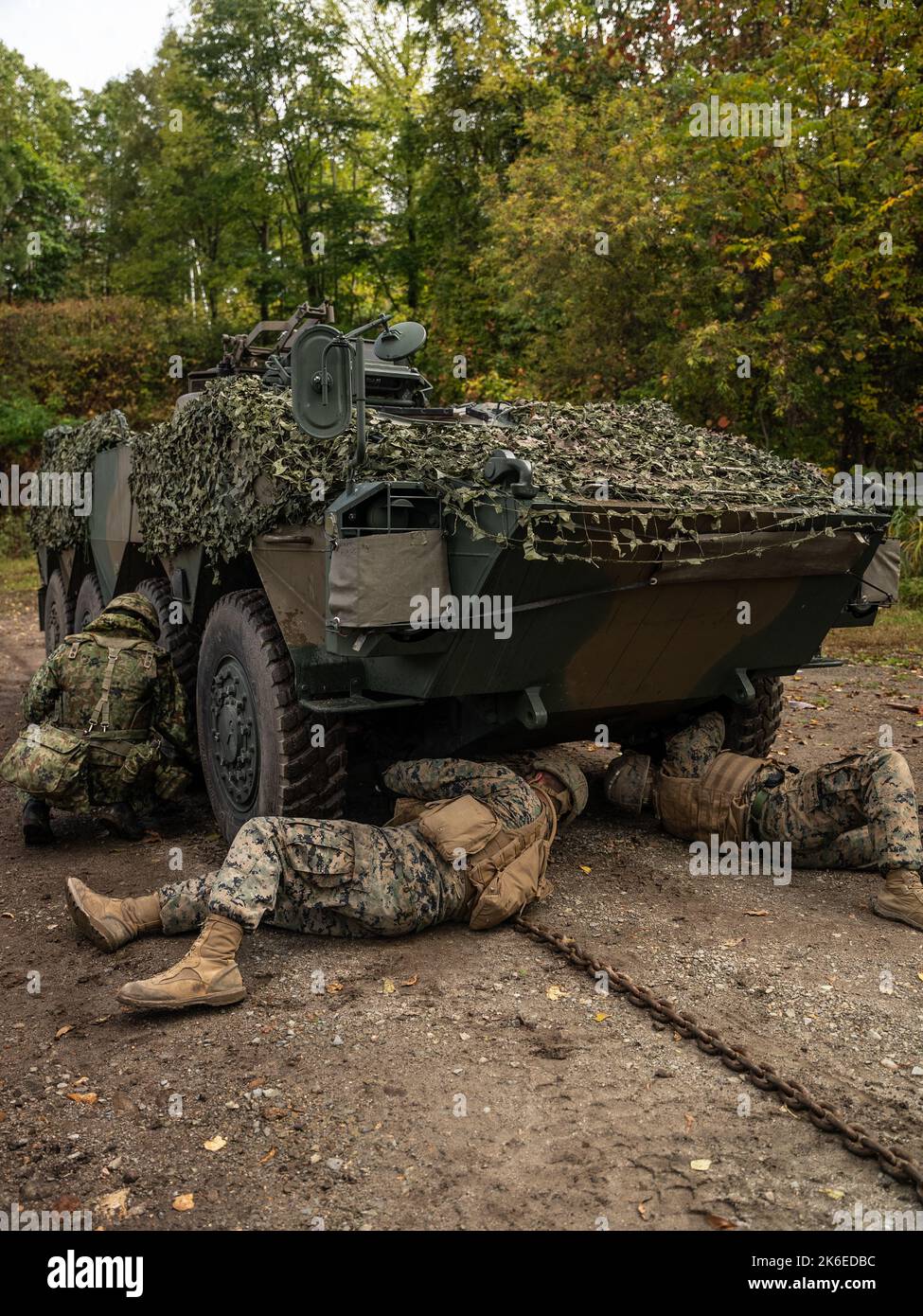 U.S. Marines with 3rd Transportation Battalion, Combat Logistics ...