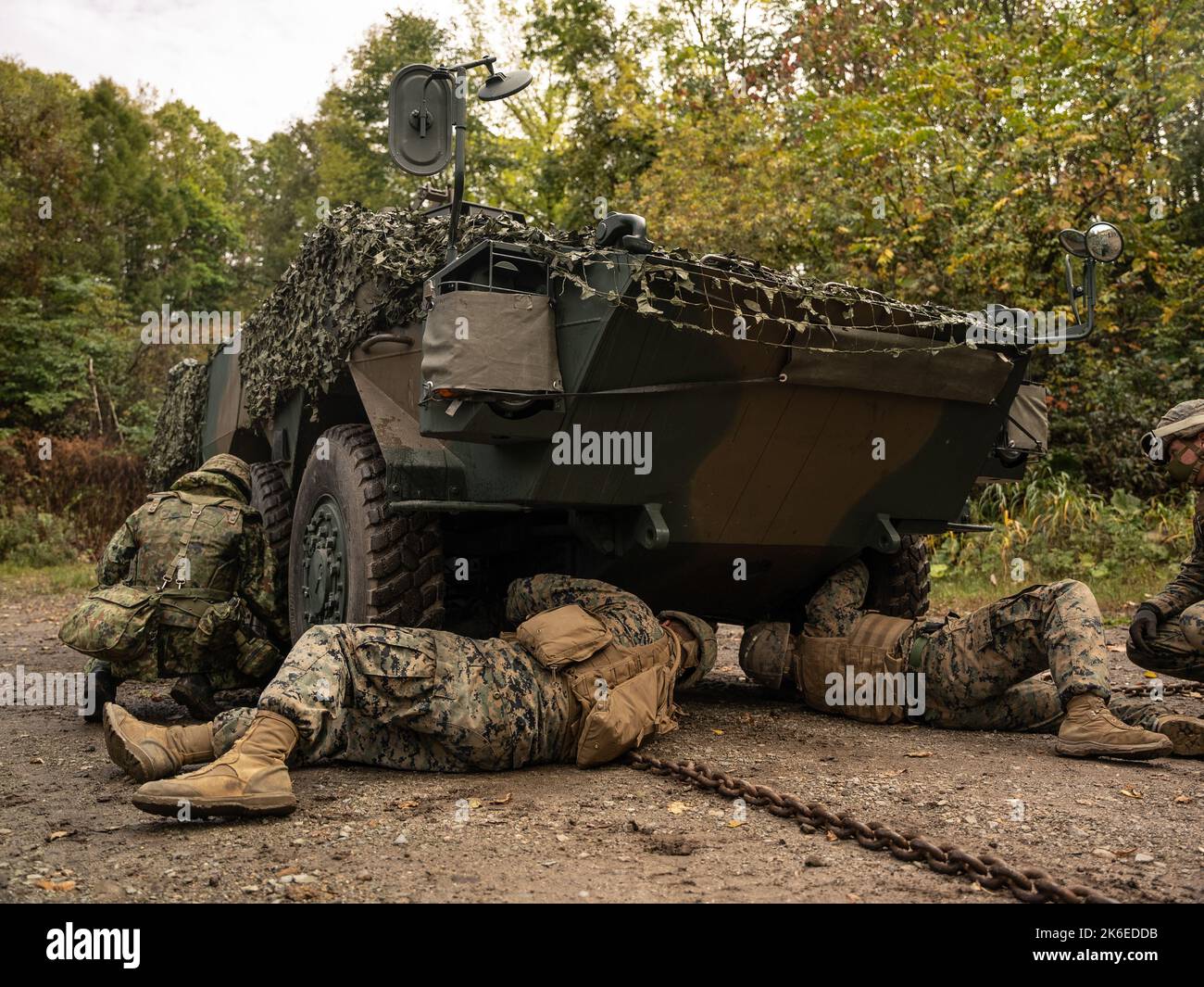 U.S. Marines with 3rd Transportation Battalion, Combat Logistics ...