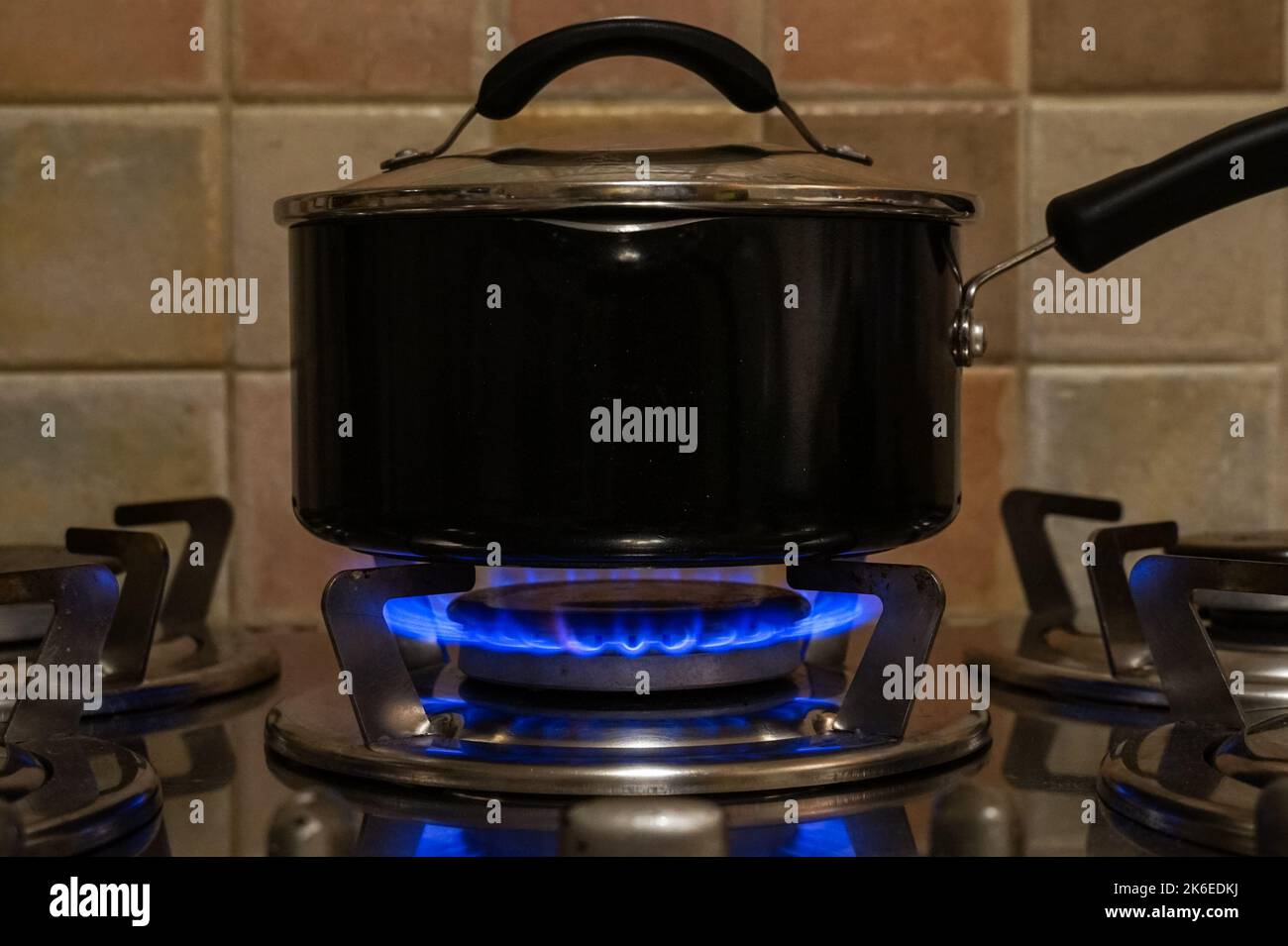Blue gas flames burning on a gas hob burner, kitchen gas cooker Stock ...