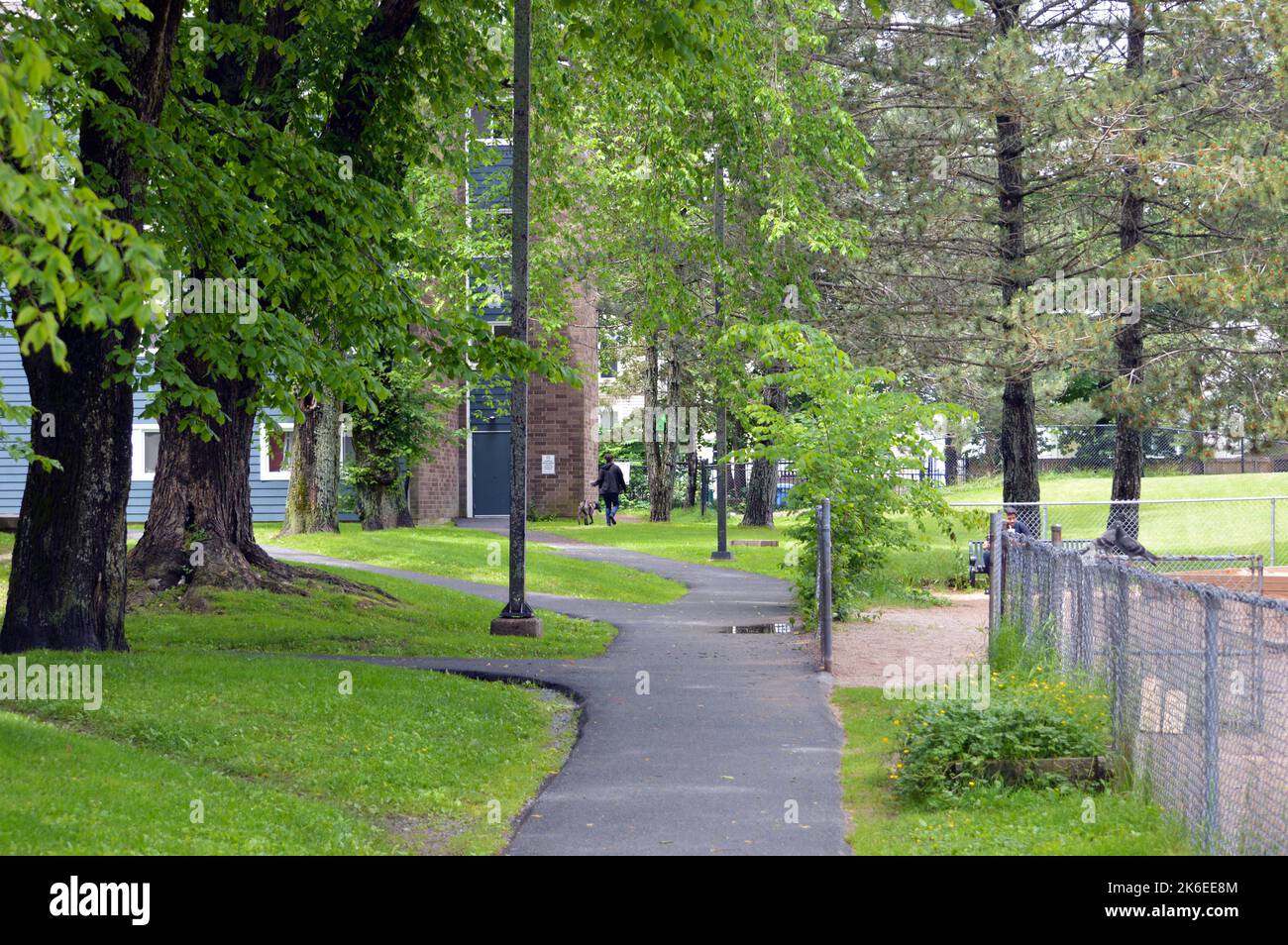 Quinpool court hi-res stock photography and images - Alamy