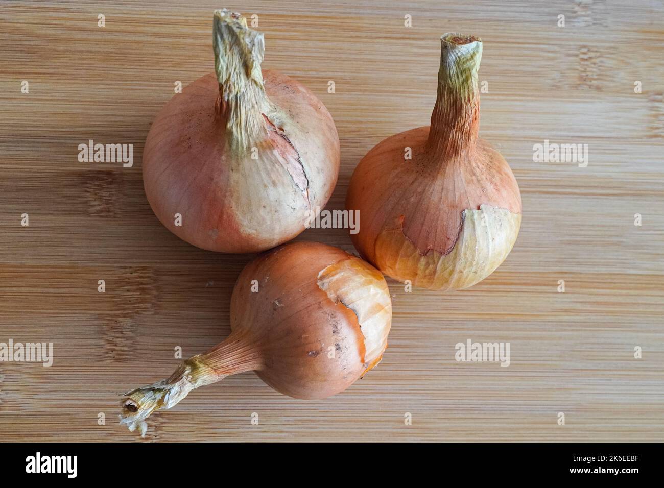 Three fresh onions hi-res stock photography and images - Alamy