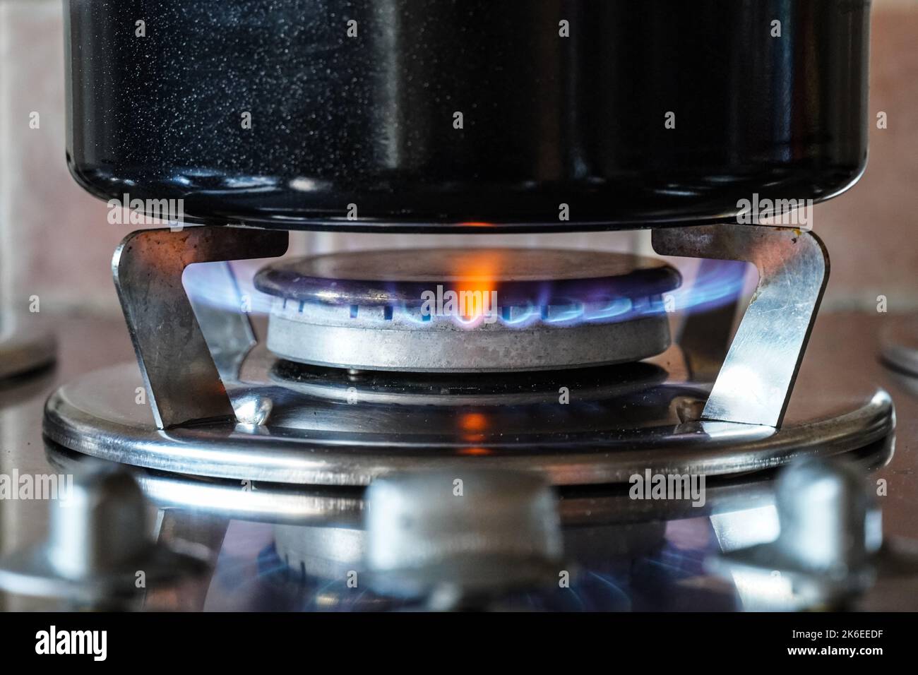 Blue gas flames burning on a gas hob burner, kitchen gas cooker with ...