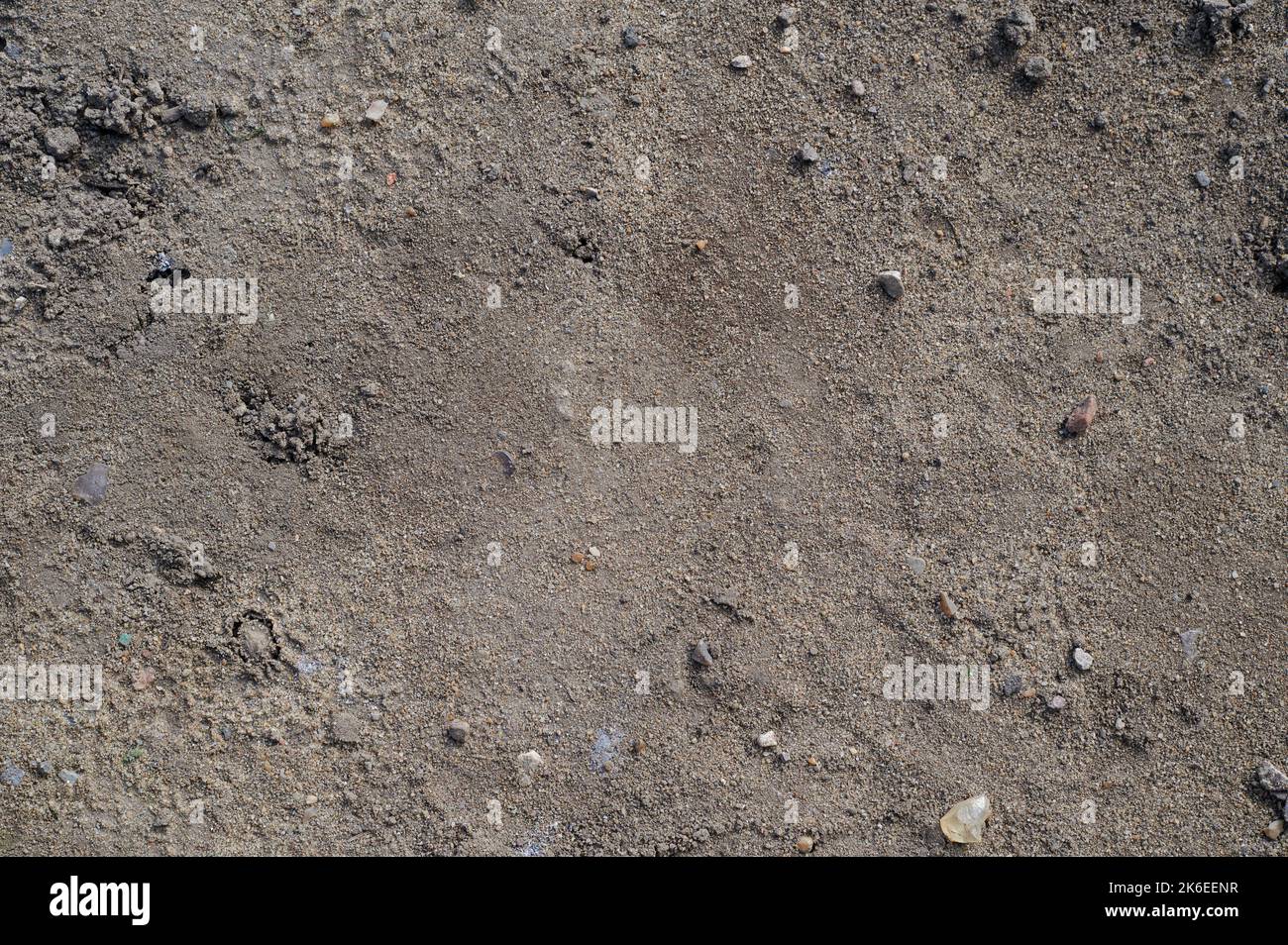 Sandy brown ground texture background Stock Photo - Alamy